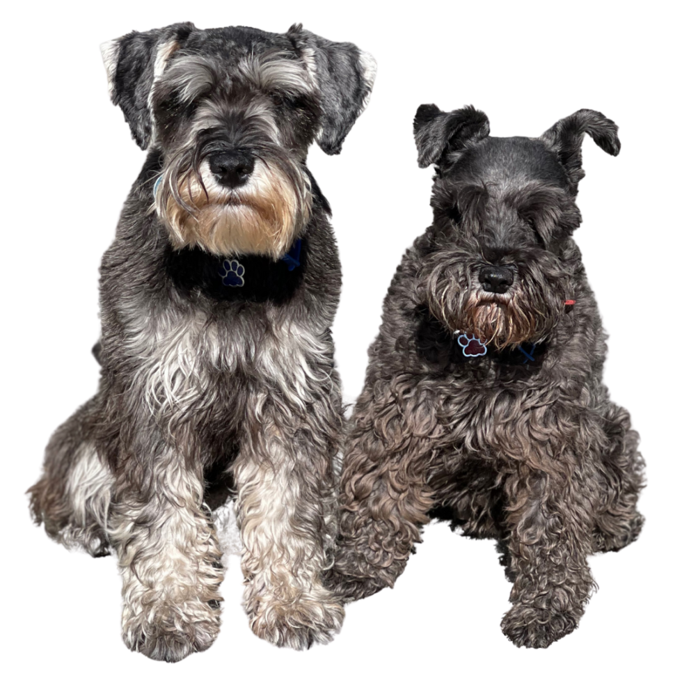 Debra Chantry Taylor - Debra Chantry-Taylor | EOS Implementer | Family Business Advisor ...